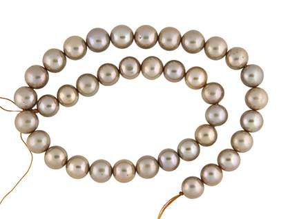 ROUND PEARL FRESHWATER CHAMPAGNE PEARL 11-12MM | Bella Findings House